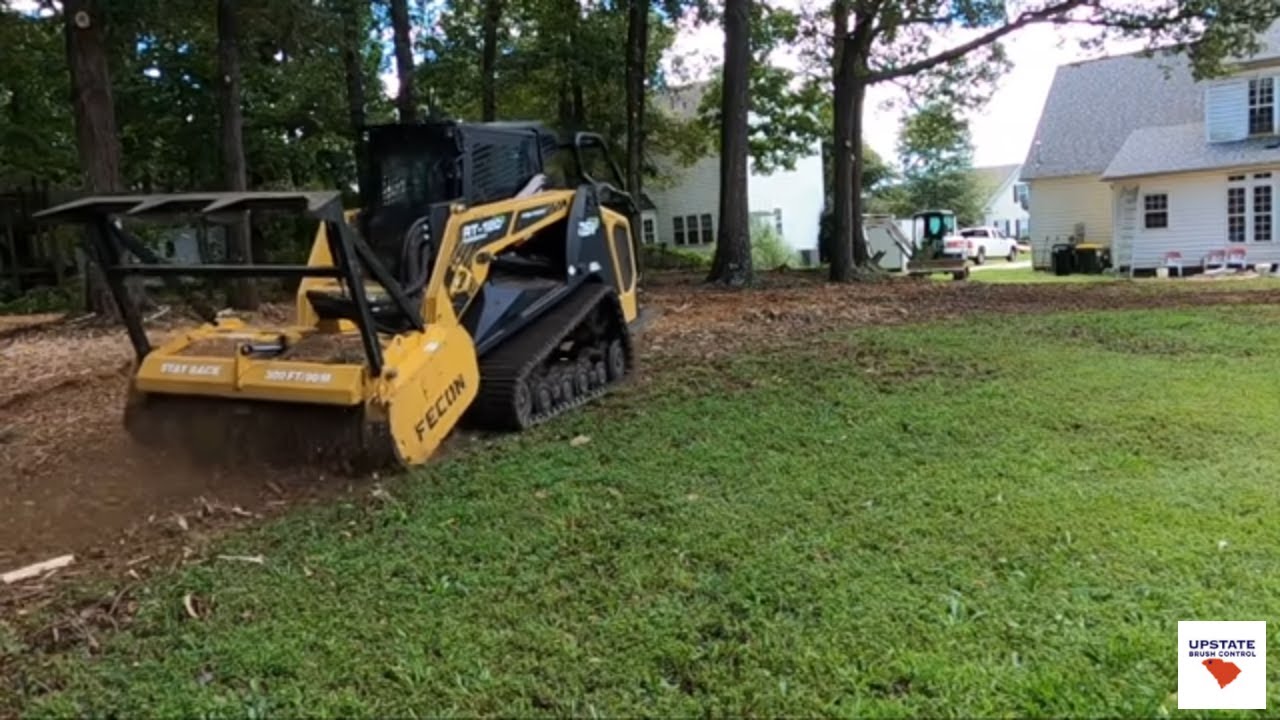 Backyard Clean Up and Forestry Work Tree Removal - YouTube