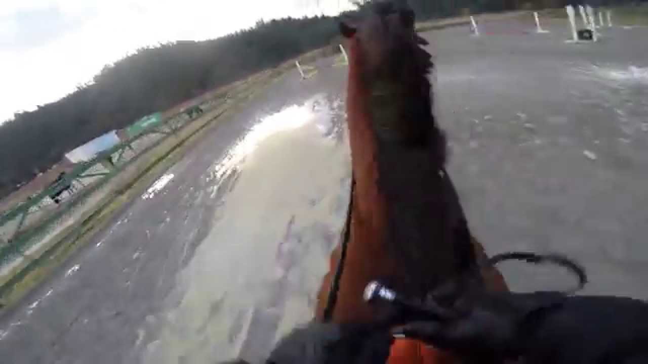 GoPro Dressage horse jumps a crossrail - YouTube