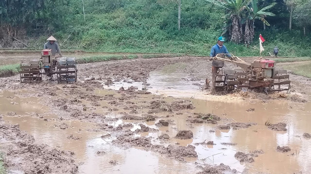 Traktor G3000 vs Traktor G1000 Mengolah Lahan - YouTube