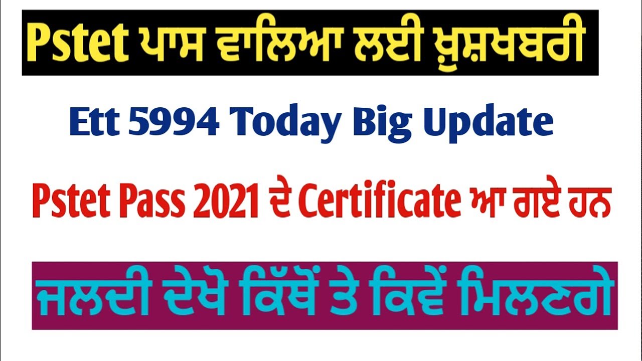 Pstet Pass 2021 Certificate Released | Pstet Pass Certificate Out ...