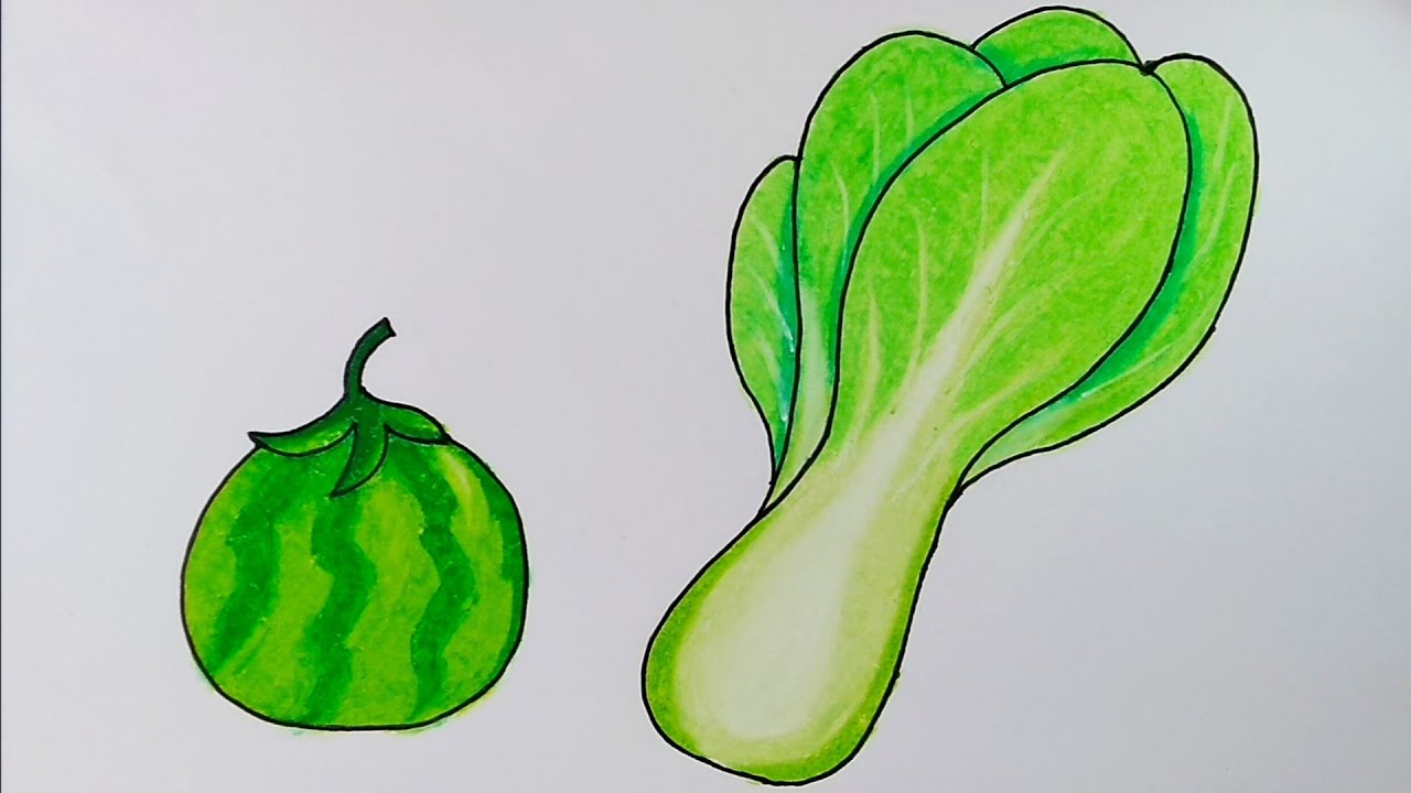 Cara menggambar sayuran yang mudah || Menggambar sayur sawi - YouTube