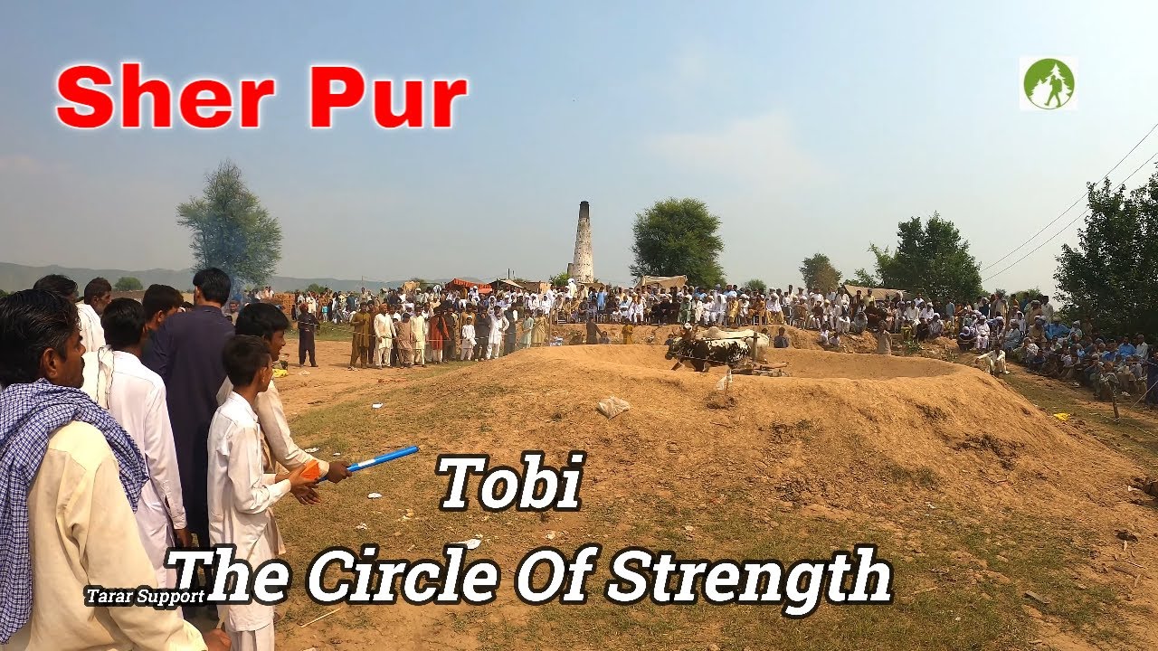 Tobi Bull Race The Circle Of Strength Sher Pur Akhara Jhelum 2025 - YouTube