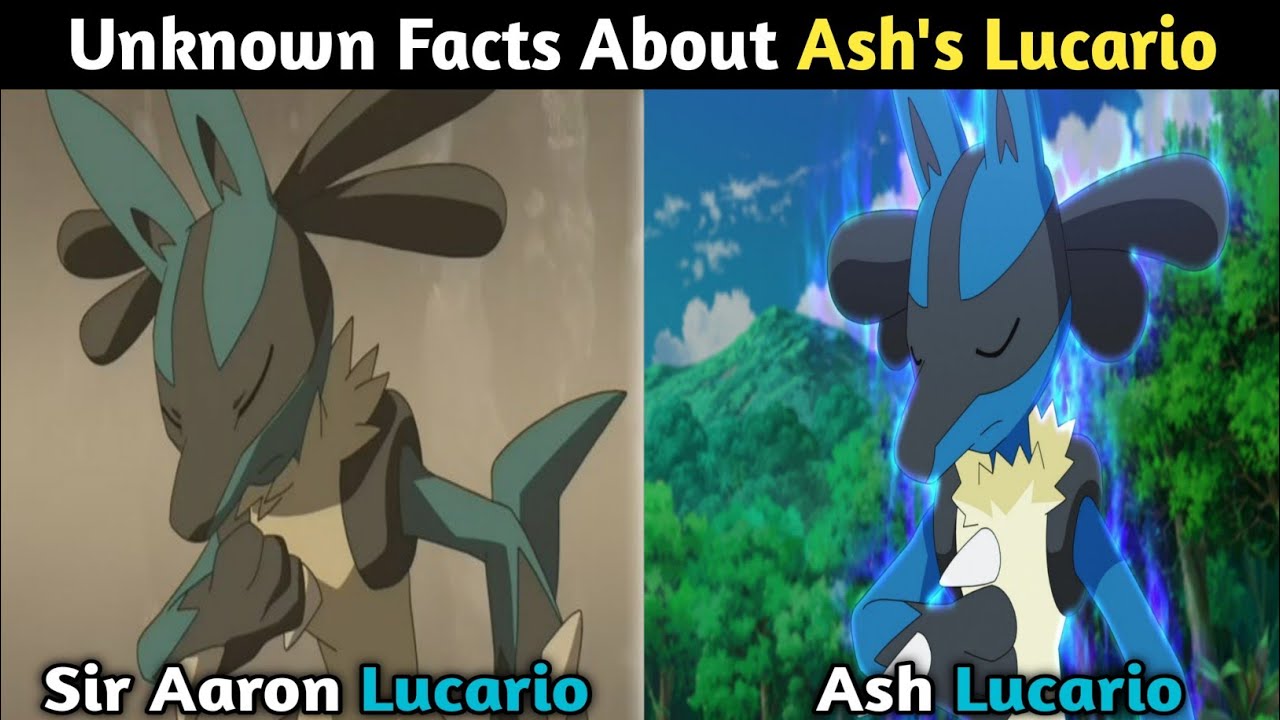 Facts That You Don't Know About Ash's Lucario | Sir Aaron Lucario ...