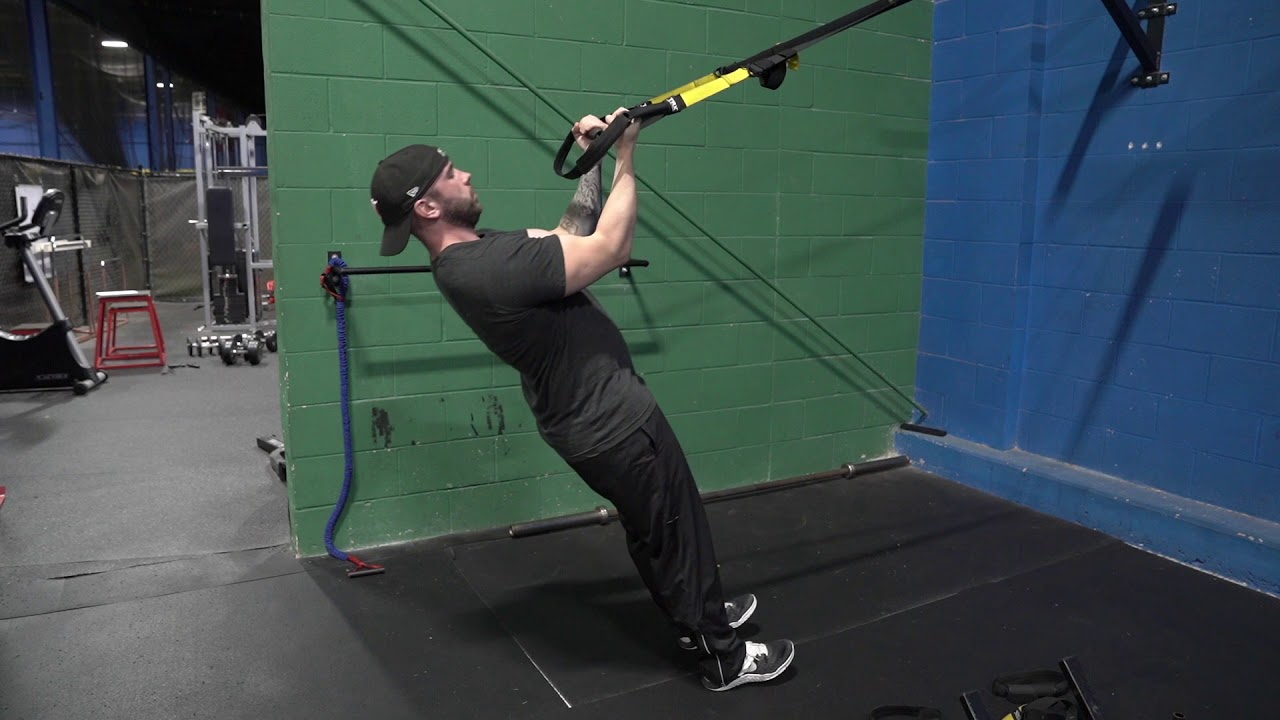 Bodyweight Inverted Biceps Curl (TRX) - YouTube