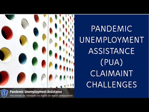 Pandemic Unemployment Assistance (PUA) Claimant - 2021 Extension ...
