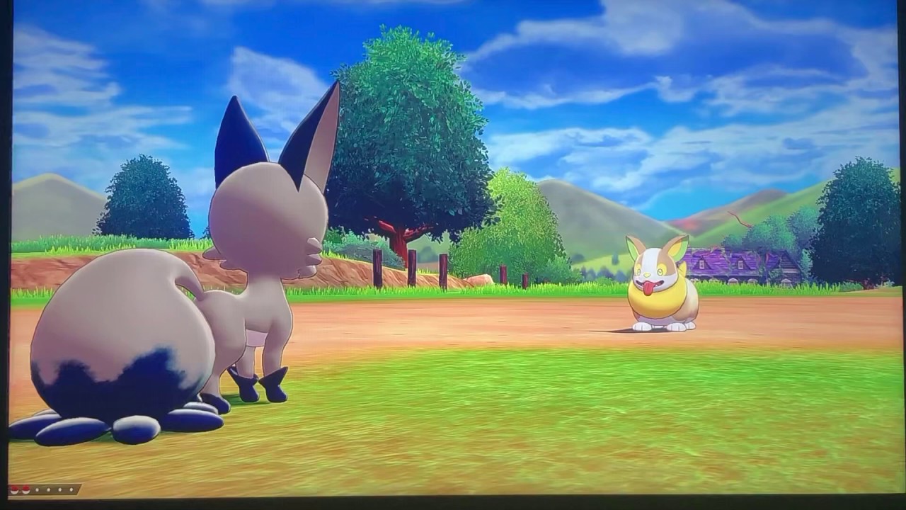 Live Shiny Nickit after 3,945 REs [Full Odds] [Pokemon Shield Shiny Run ...