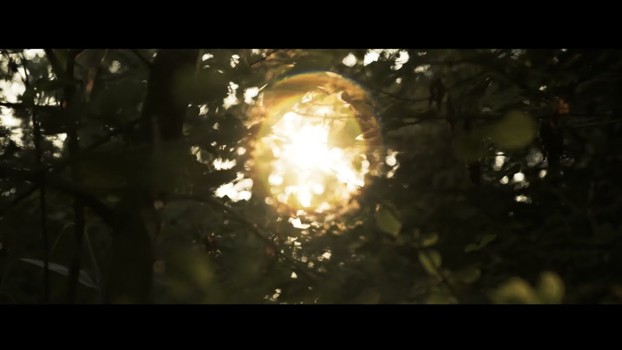 DSS 2022 Trailer - YouTube