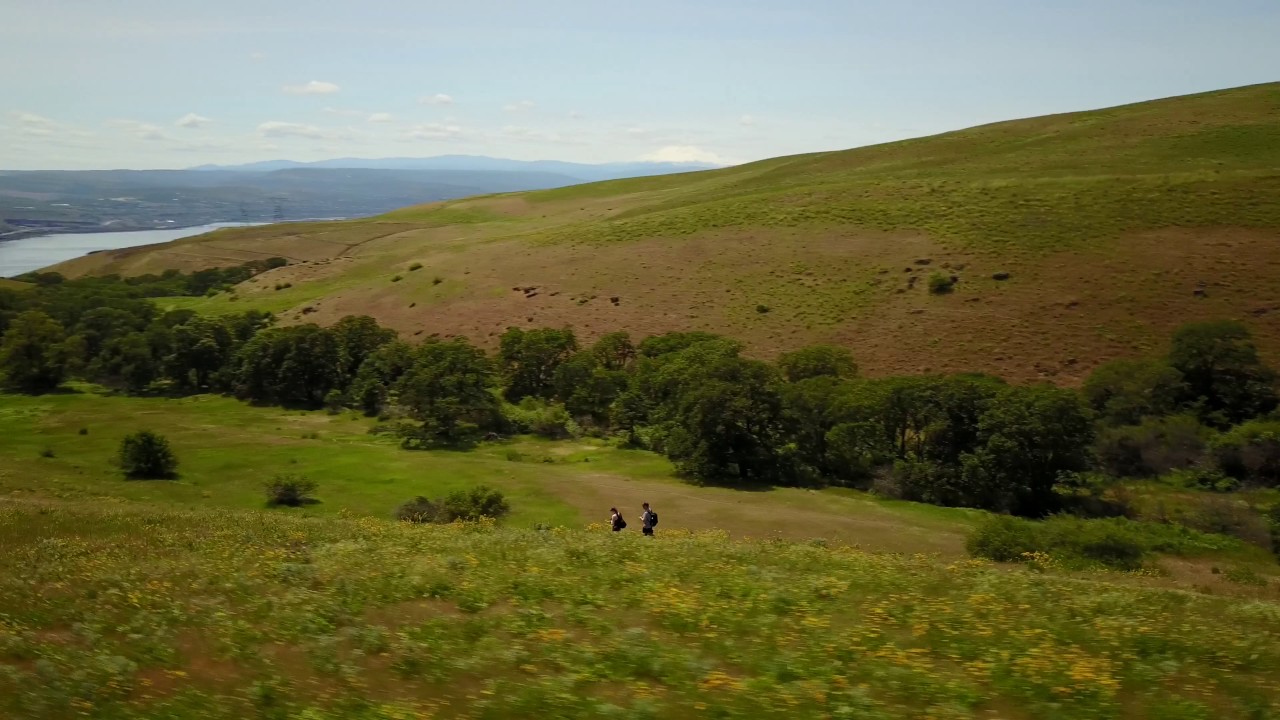 Columbia Hills State Park Hike With Audrey - YouTube