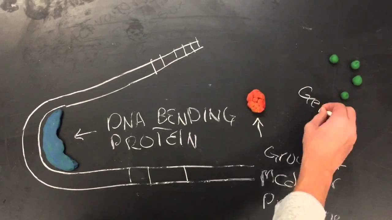 AP Biology 2014 Initiation - YouTube