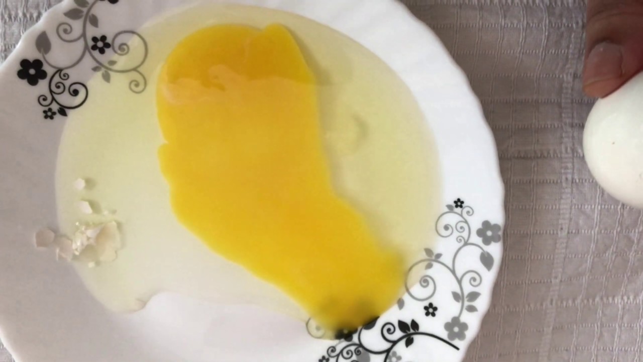 Chapter 4: Reproduction & Egg Formation in Poultry - YouTube