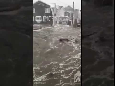 01-04-2018 Scituate, MA - Freezing Coastal Flooding & Near Hurricane ...