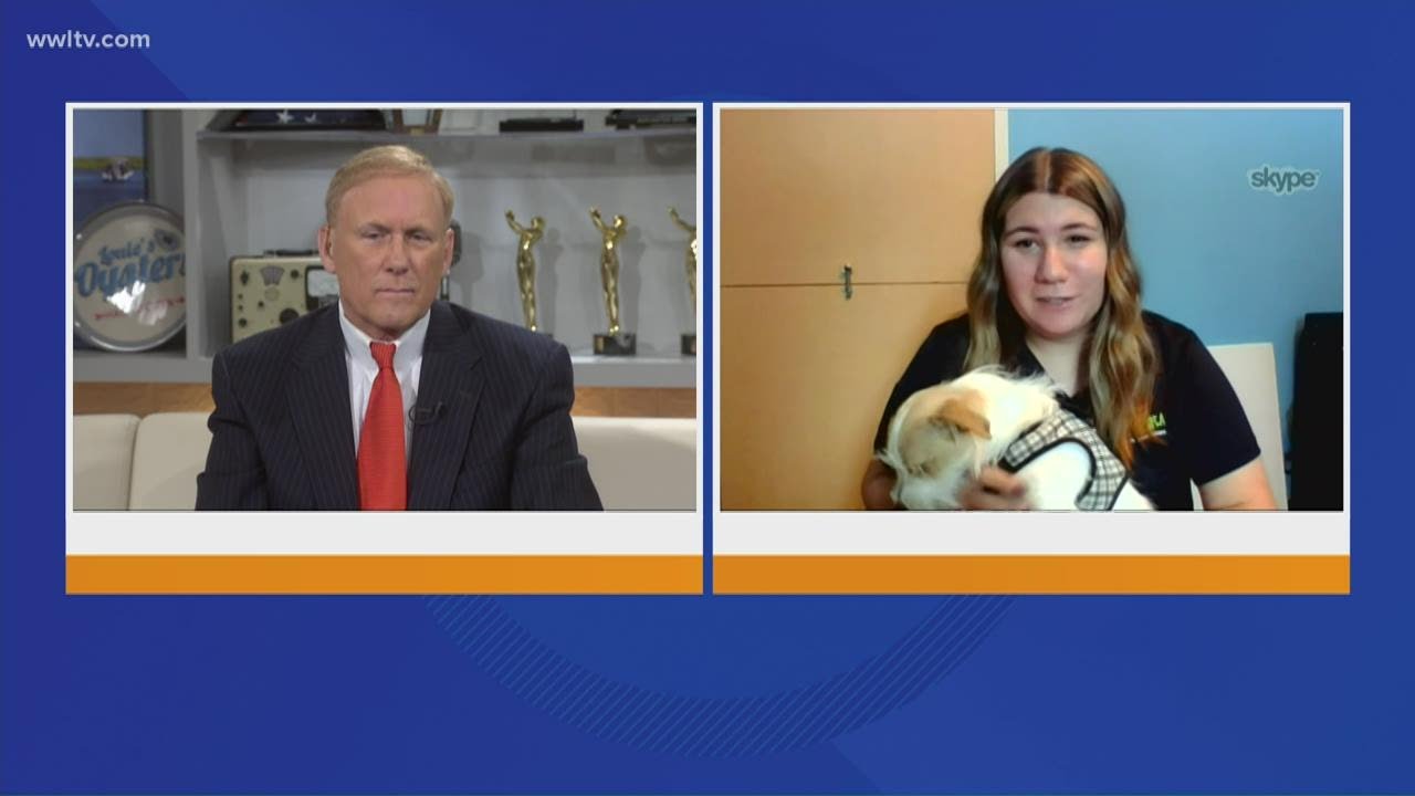 Help the LSPCA transport pets out of state for adoption - YouTube