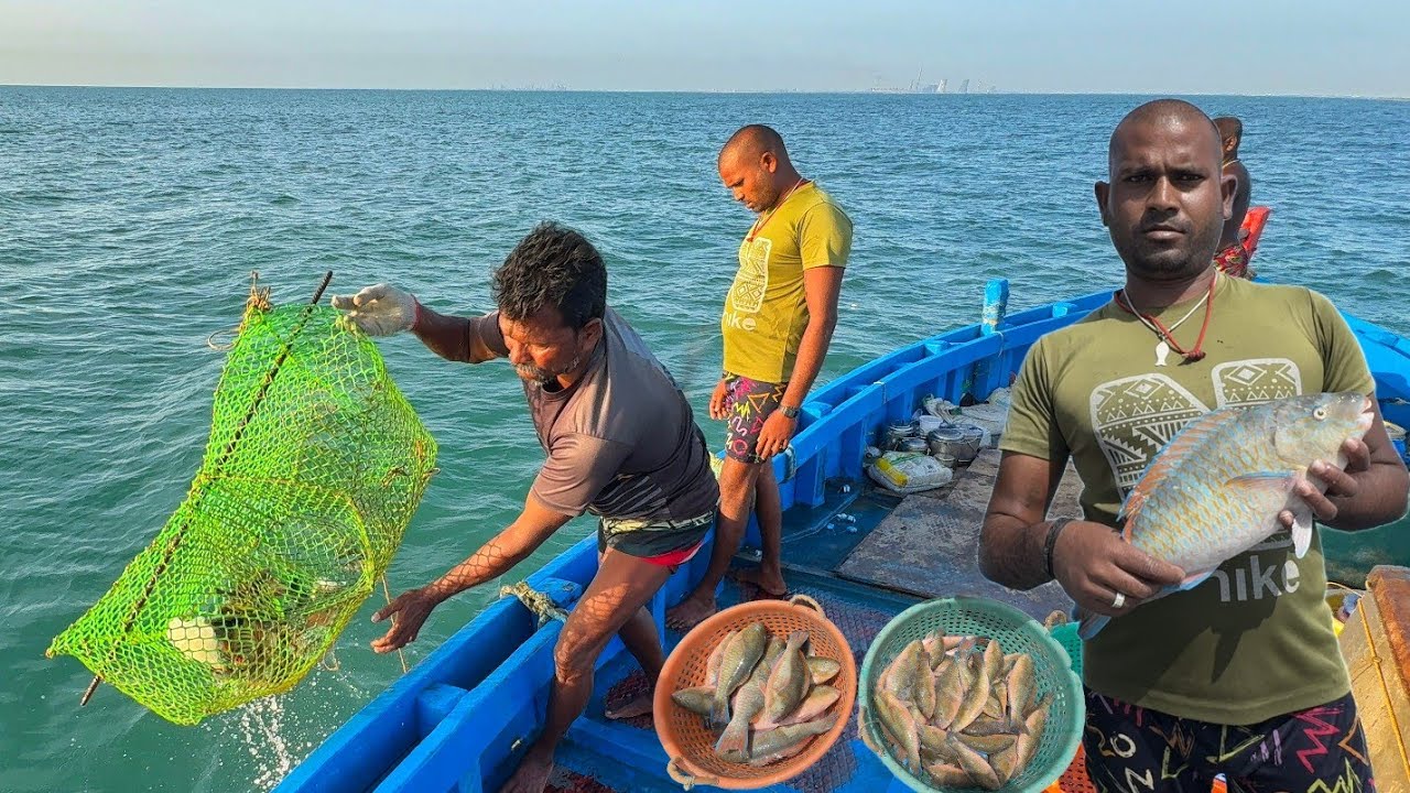 Ohh Very Old Traditional Fishing Method 💢 Catch parrot Fishes 🤩 Under ...