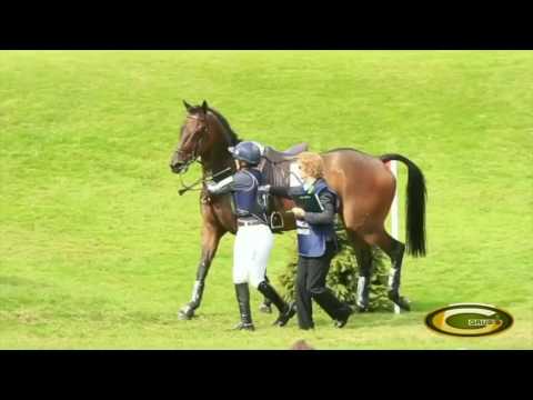 Horse Riding vs Football Worst Falls