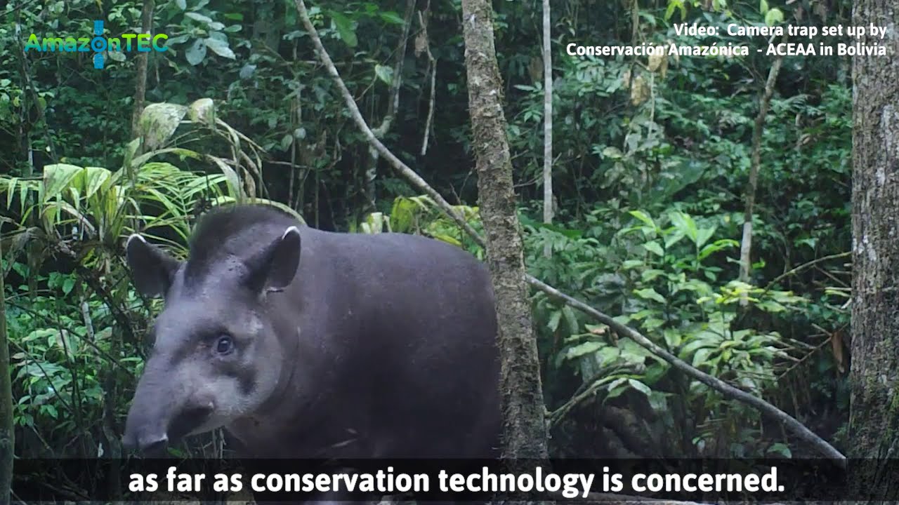 AmazonTEC Promo: An Extremely Exciting Time for Conservation with ...