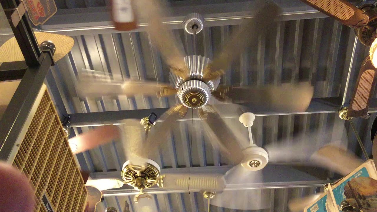 Homestead Metro ceiling fan at Fanimation - YouTube