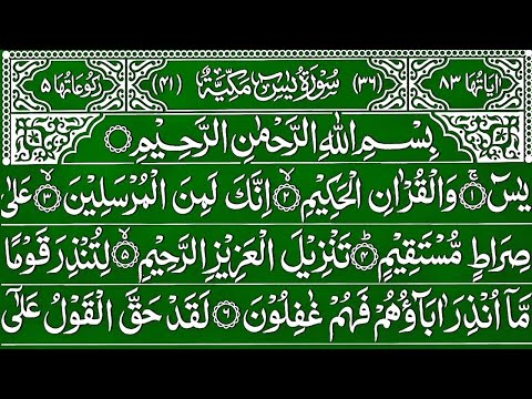 Surah Yaseen Surah Rahman Complete | Daily Quran Tilawat Surah Yasin Surah Rahman | Ep-085