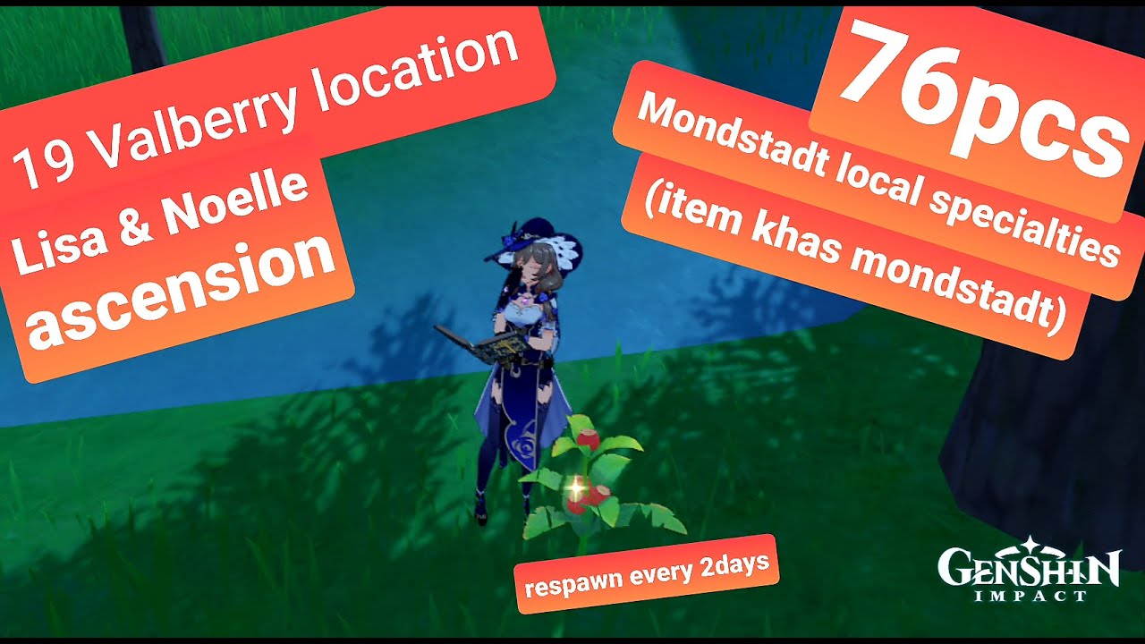 Valberry Location| 76pcs at 19 spot valberry location|Mondstadt local ...