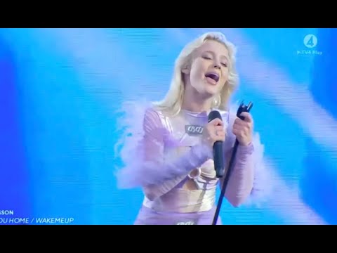 Zara Larsson - Carry you home/Wake me up - Live Way out west 2019