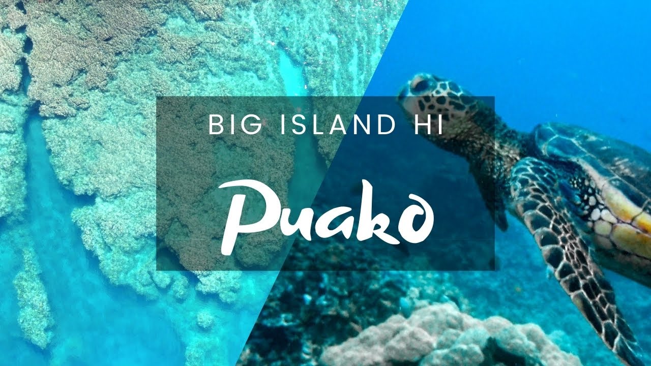 Diving Puako End of The Road | Big Island Hawai'i - YouTube