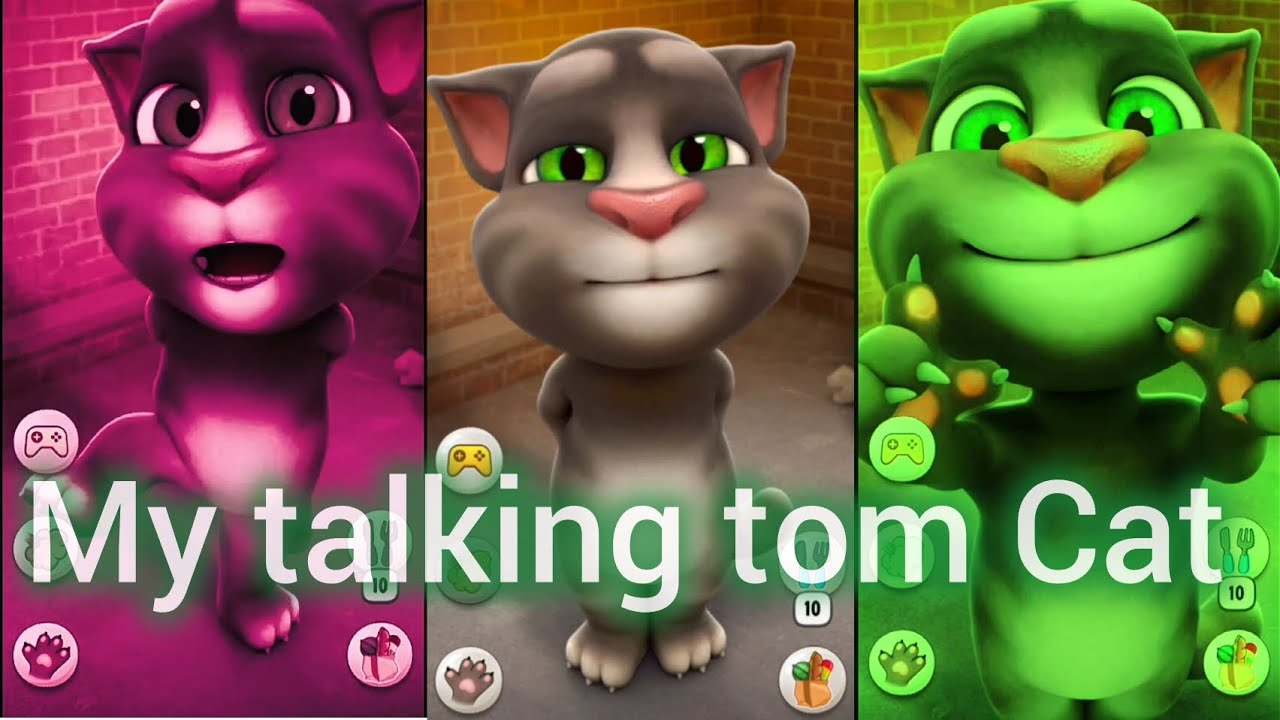 My talking tom Cat - YouTube