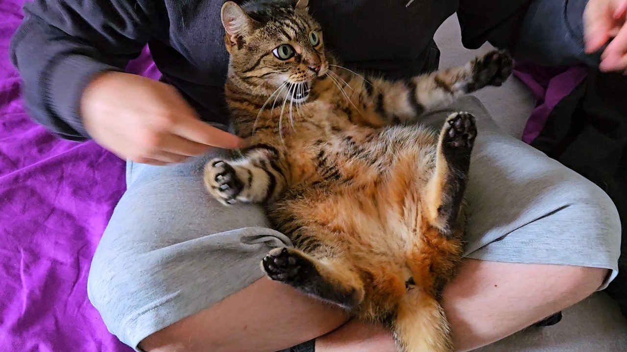 Belly Traps and Bunny Kicks - YouTube