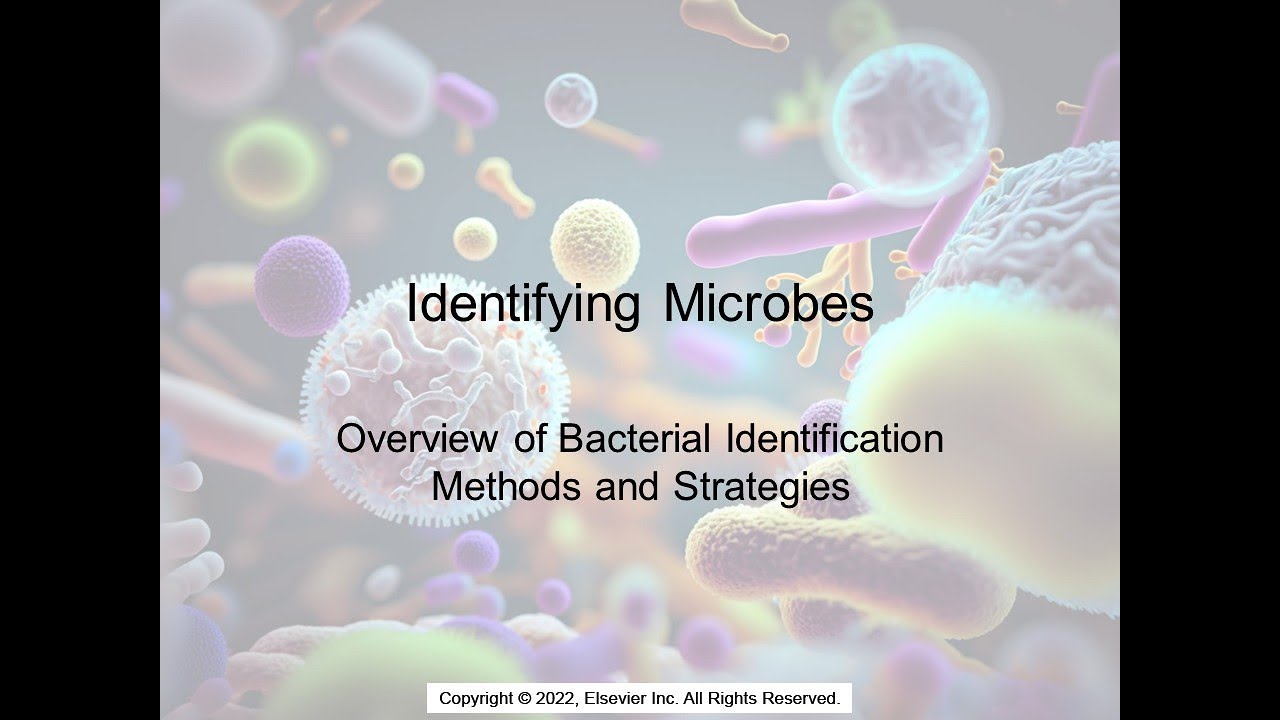 Bacterial Identification Methods - YouTube