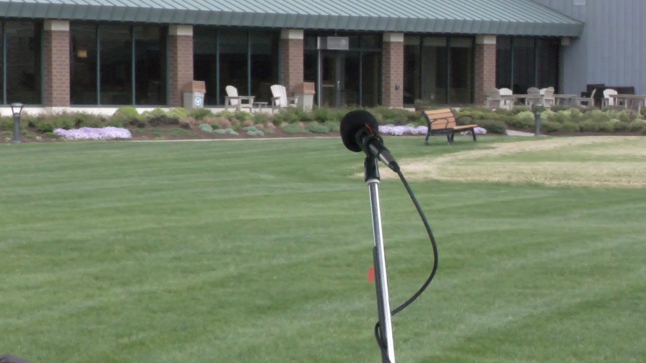 Bands on the Bay Lewis McGehee - YouTube