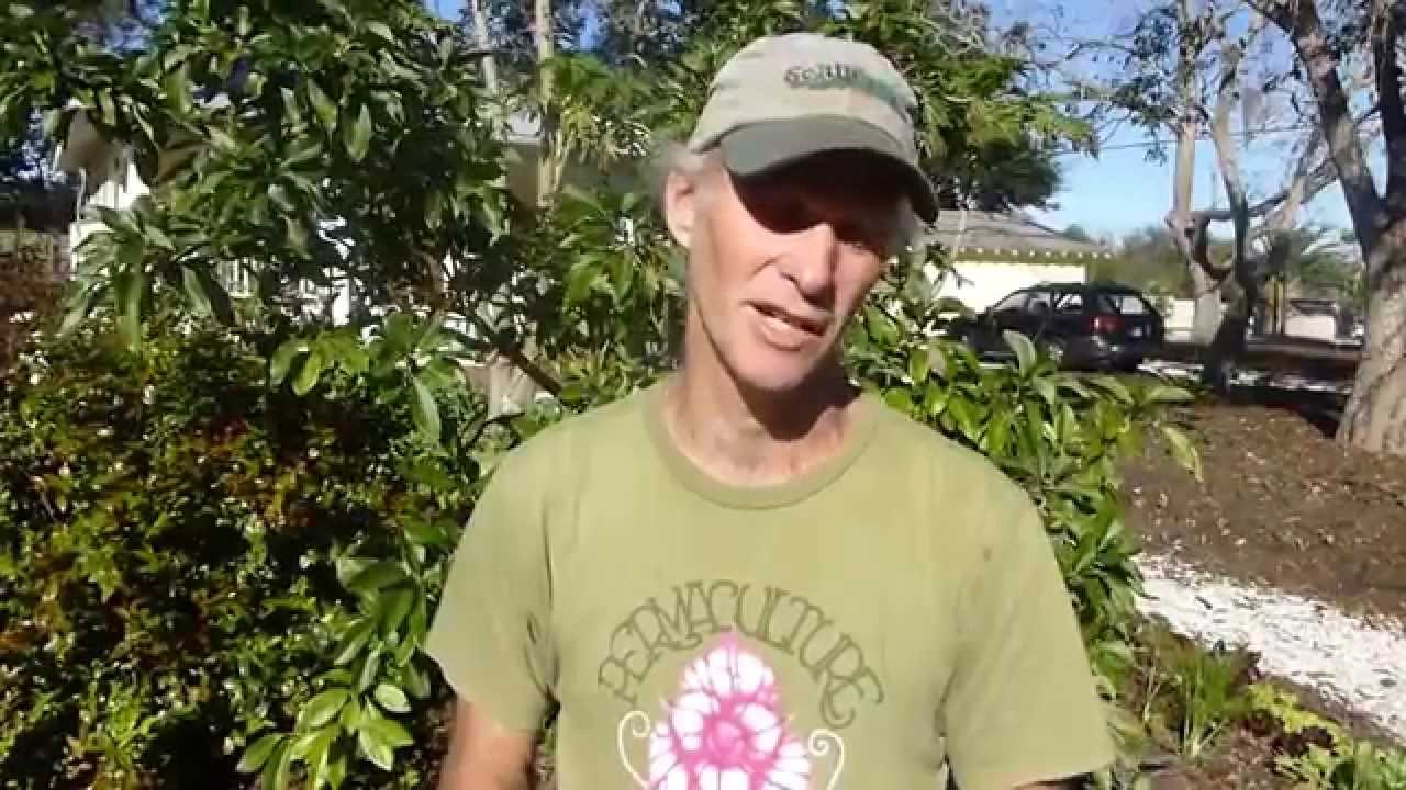 Jim Kovaleski - Freedom House Farm - New Port Ritchey, Florida - YouTube