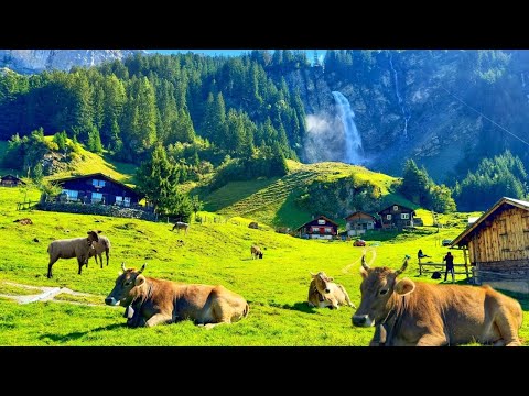 Switzerland Countryside life - Stäubifall, Most beautiful Waterfall on  Earth - Relaxing walk