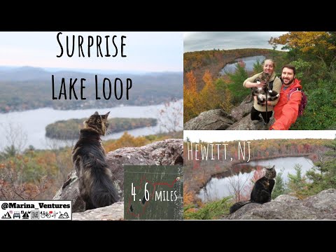 Surprise Lake Loop Cat Hike - YouTube