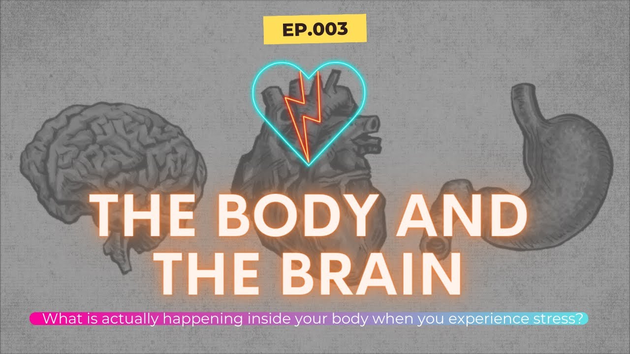Episode 3 - The Body and the Brain - YouTube