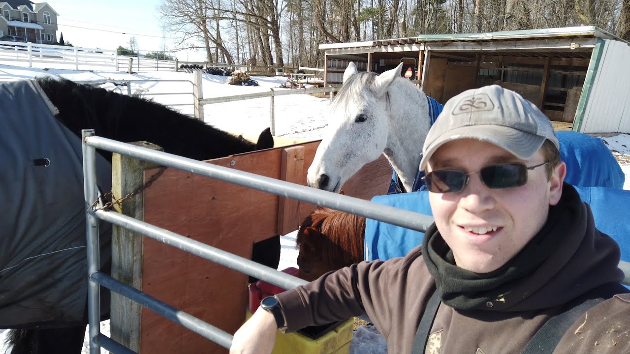 Another Day In A Stable Life - YouTube