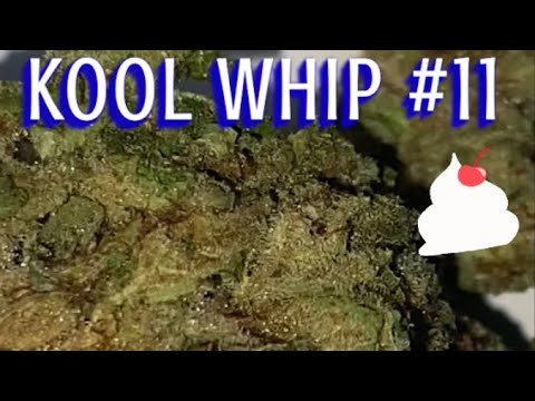 Kool Whip #11 Strain Review - YouTube