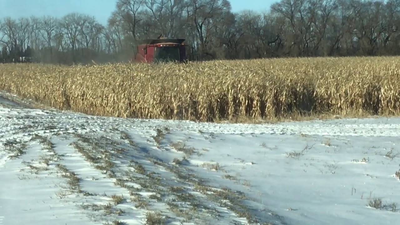 Combining corn Nov. 2018 - YouTube