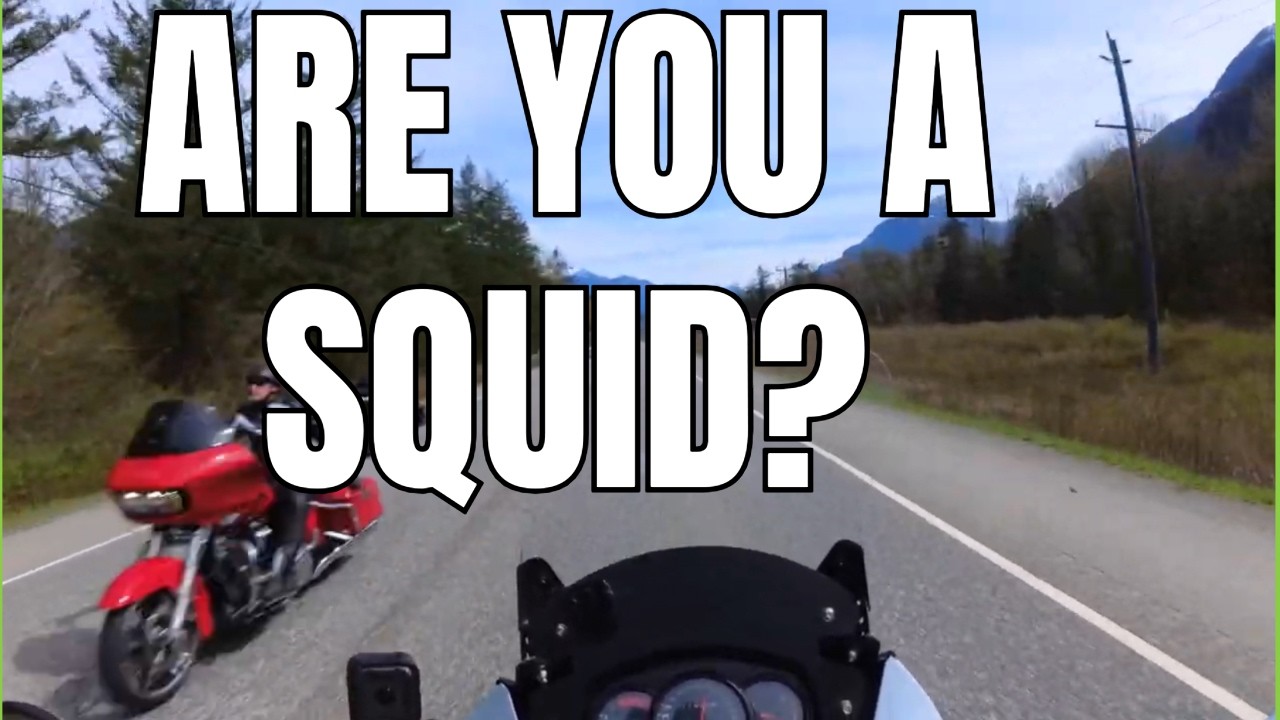 You're Probably a Motorcycle SQUID Without Even Knowing It! - YouTube