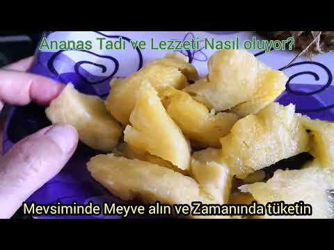 Ananas Tadı nasıl oluyor Ananas tadını sever misiniz?