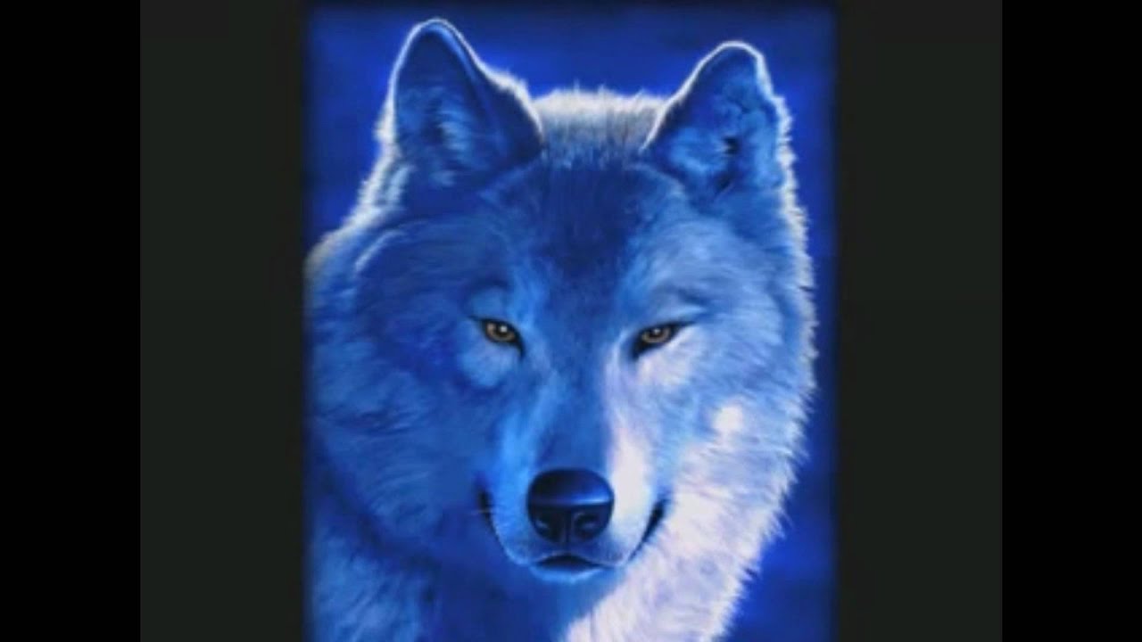 Geronimo Wolf / Healing for Mother Earth 09 / Make The Vision Real ...