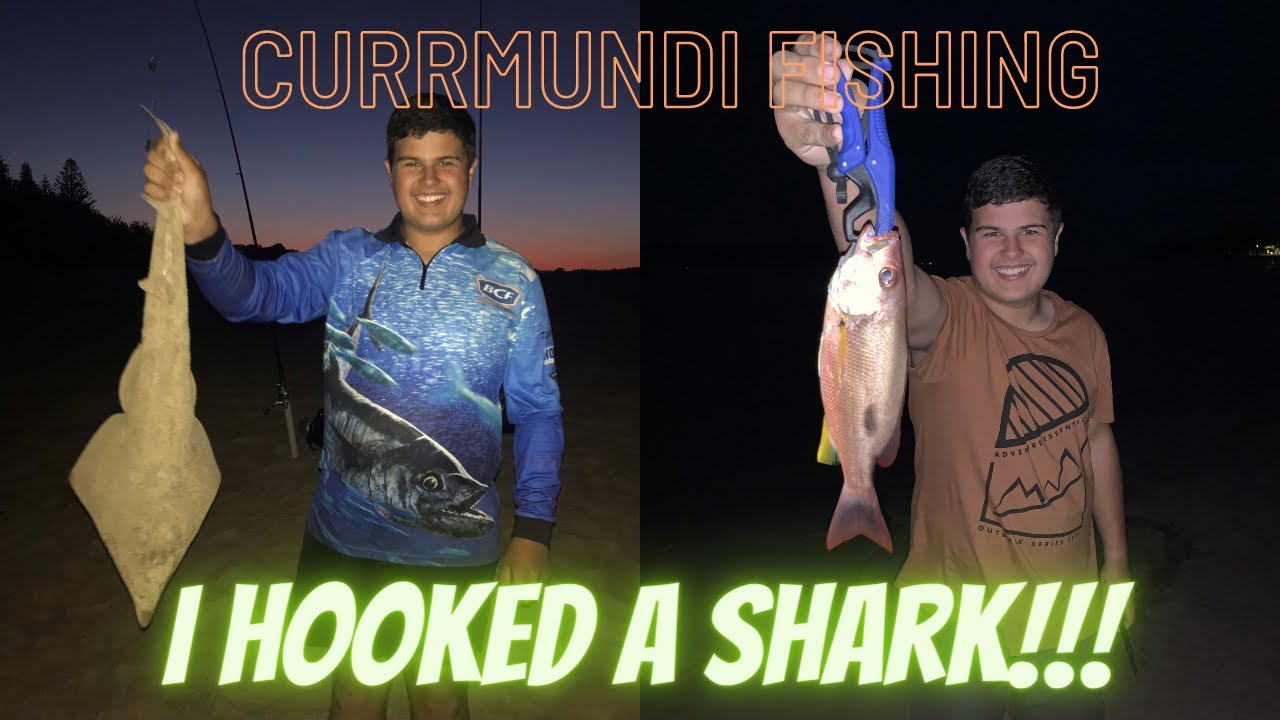 Shovel Nosed Sharks! Big Bream! A Moses Perch and much more ...
