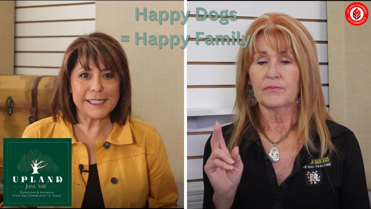 Happy Dogs = Happy Family with Nancy Turnage Bark Busters | Just Ask ...
