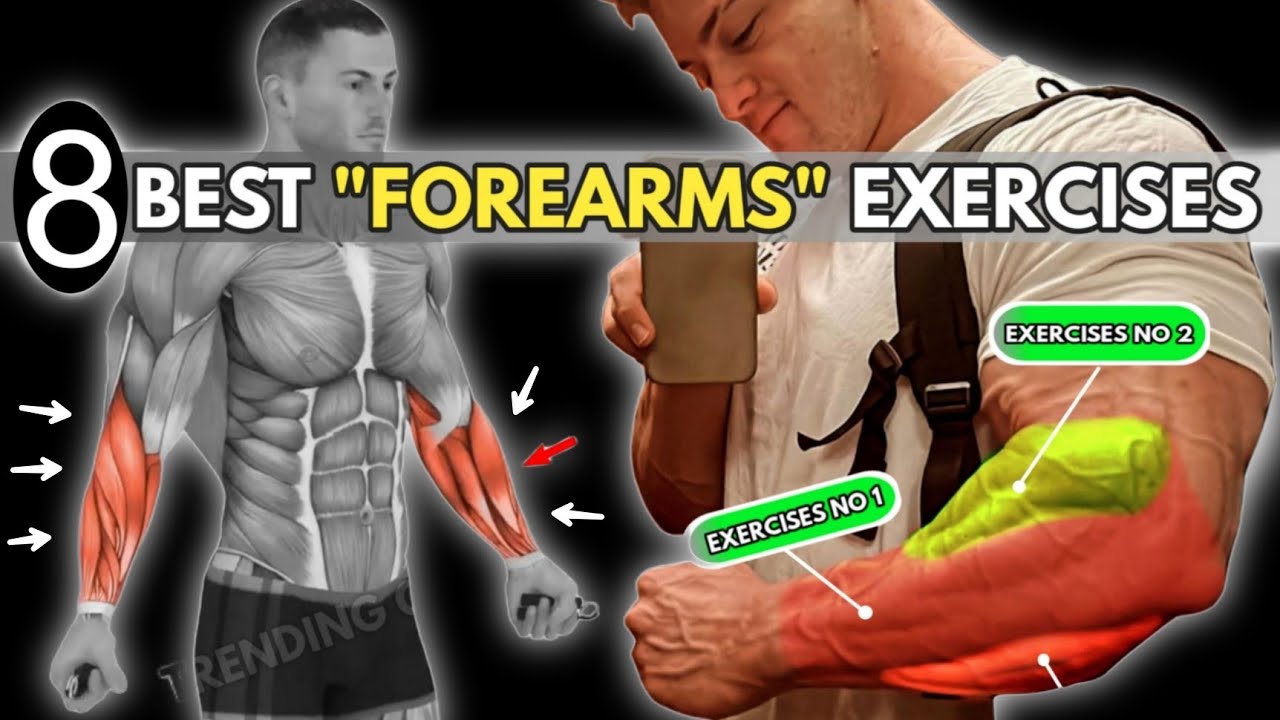 Try These Best FOREARMS Exercises - 8 Forearms Exercises Routine - YouTube