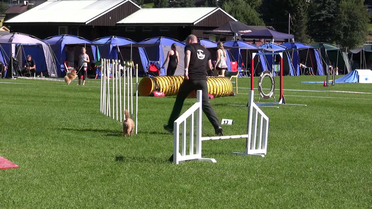 Stav 2012: Rune og Rambo - A3 (søndag) - YouTube