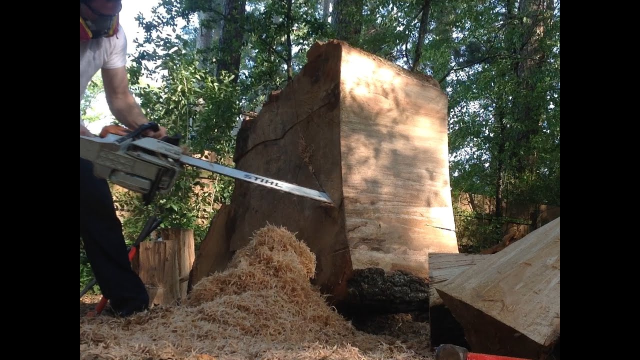 STIHL MS441 MAGNUM MS 441 CHAINSAW More 36 Inch Bar Cutting - YouTube