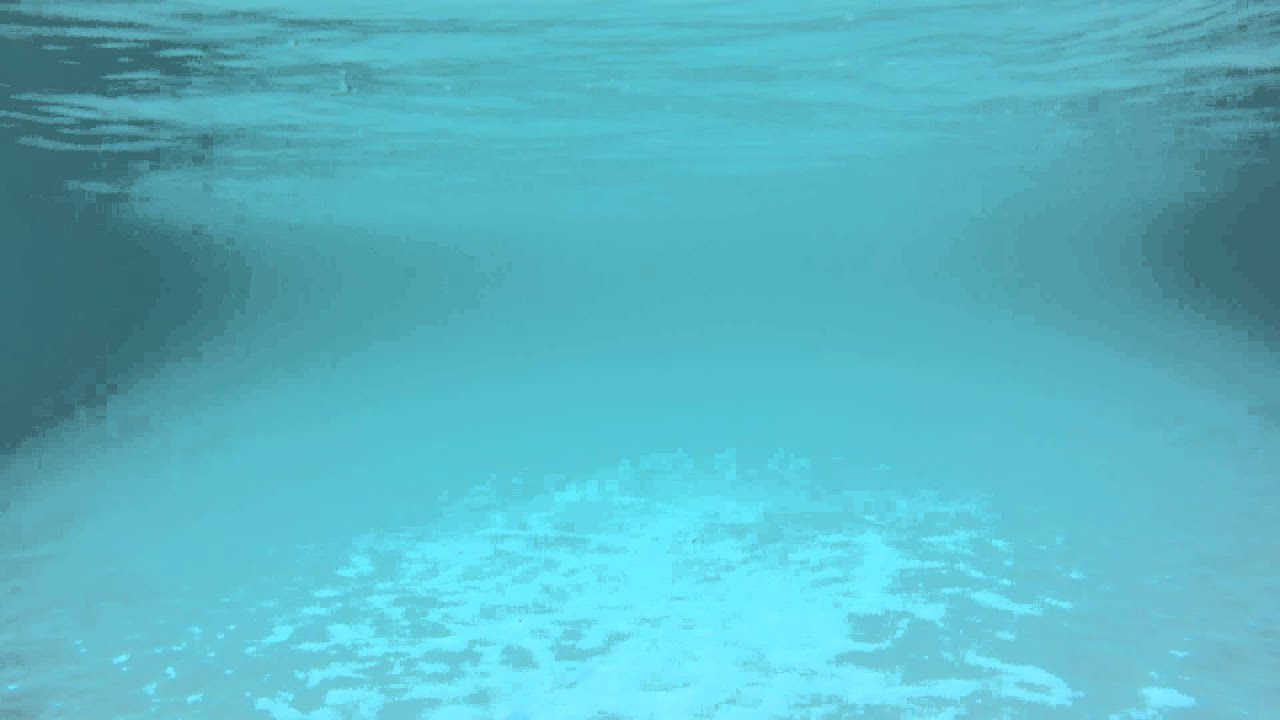 Fly in a pool - YouTube