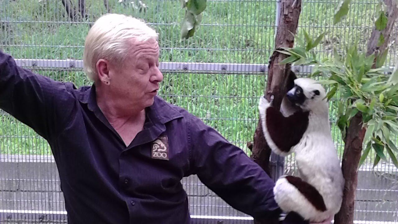 Mark & Pan Taking Questions on any topic - YouTube