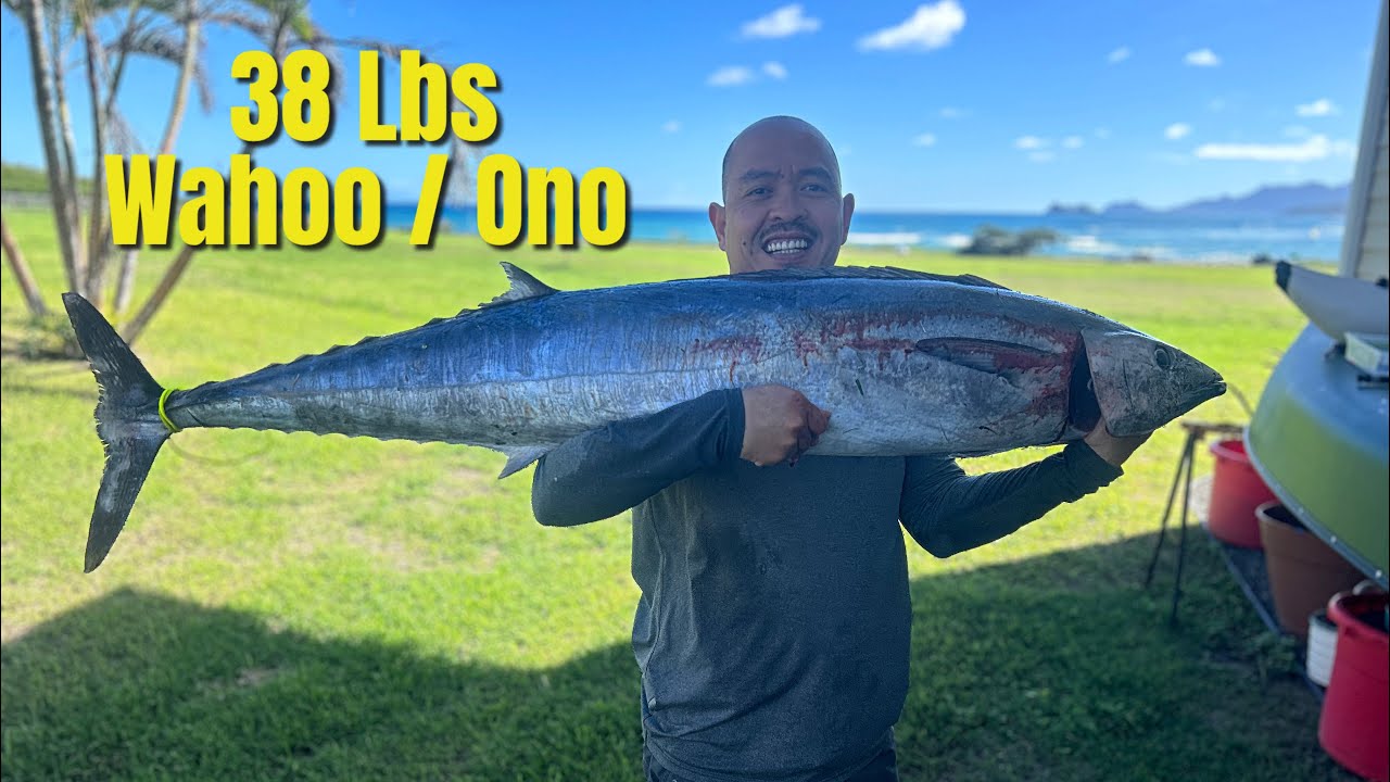 Awesome Wahoo (Ono) - Hawaii Kayak Fishing - YouTube