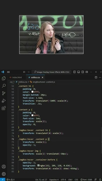Image Overlay Hover Effects HTML CSS #html5 #css #short - YouTube