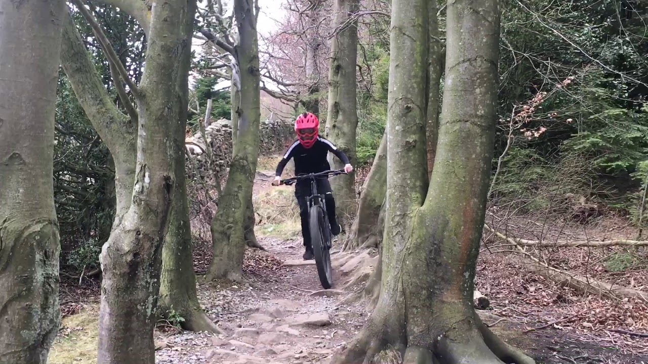 Pikes teeth || Hamsterley forest || raw - YouTube