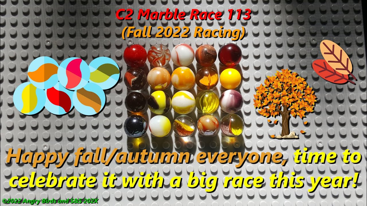 C2 Marble Race 113 (Fall 2022 Racing) - YouTube