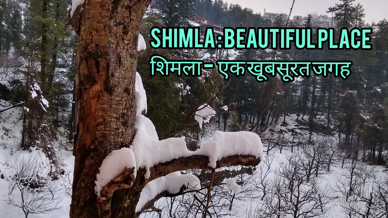 Shimla trip | Shimla vacation | Scenic natural beauty - YouTube